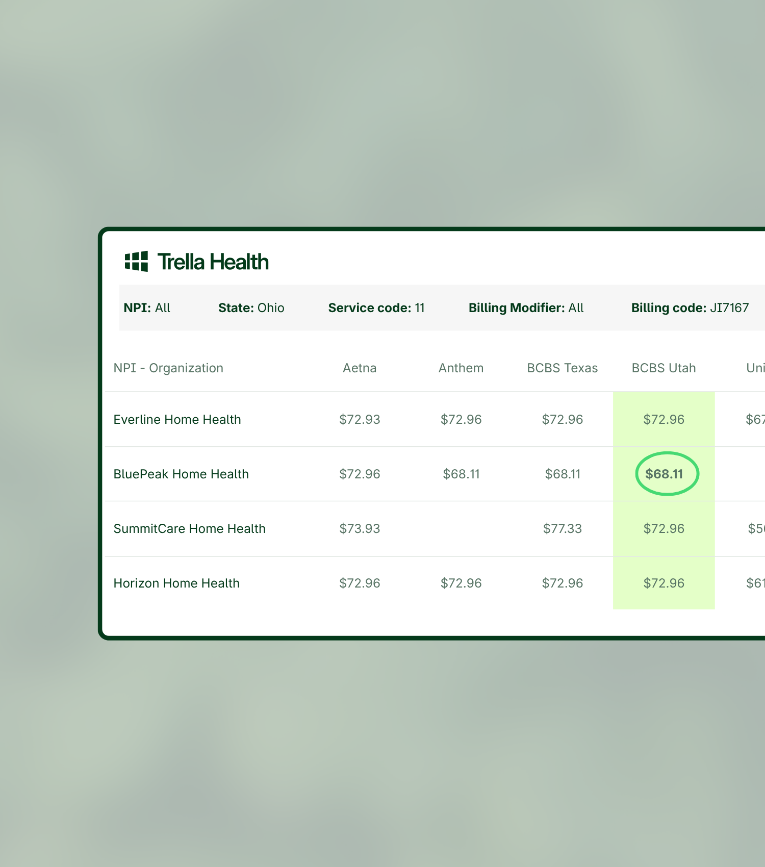 About Trella Health | Healthcare Data Experts